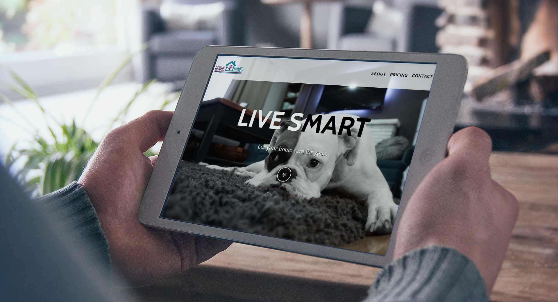 Bithja | Web Design